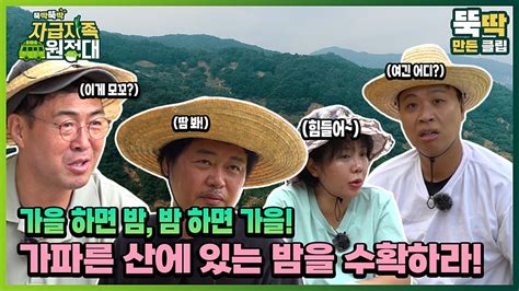 뚝딱뚝딱 자급자족 원정대 44회 밤 따러 가세♪ 네이버 Tv