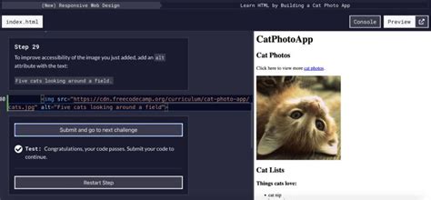 Ali Zahreddine On Linkedin 100daysofcode Html Html5 Html Webdesign Cs50 Freecodecamp