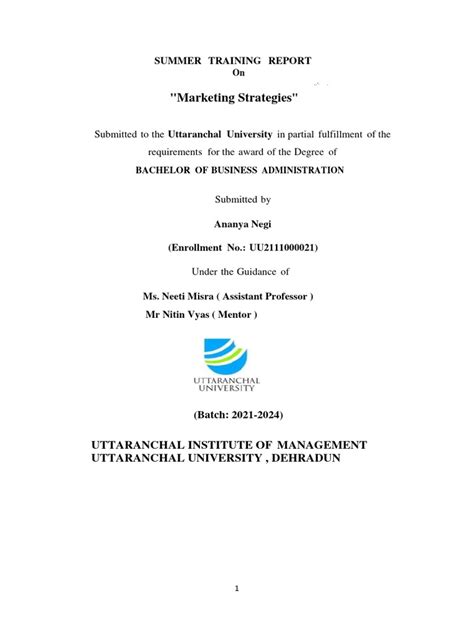 summer training report pdf