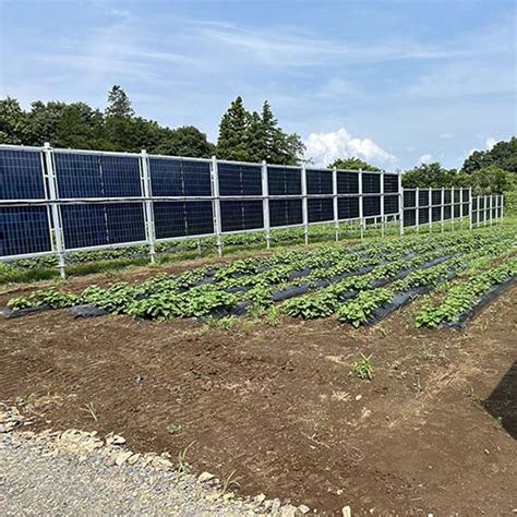 Supply Vertical Bifacial Pv Racking Vertical Solar Panel Fence For