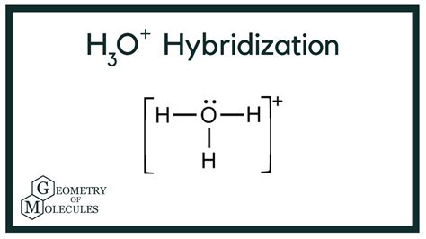 H3o Molecule