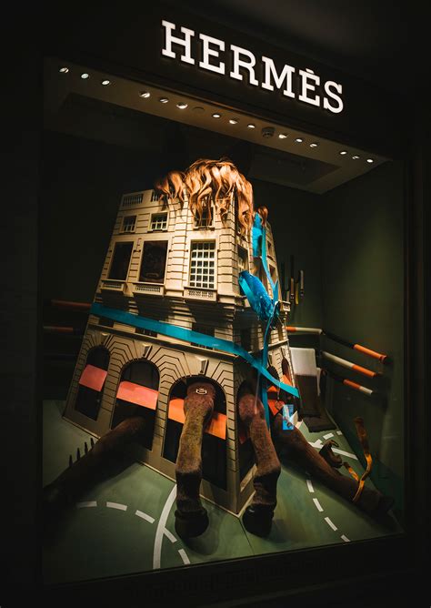 Window Dislay Behance