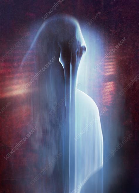 Ghost Illustration Stock Image F0365078 Science Photo Library