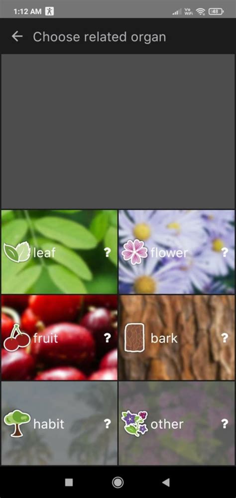 5 Best Object Identifier Apps For Android And Ios Guiding Tech