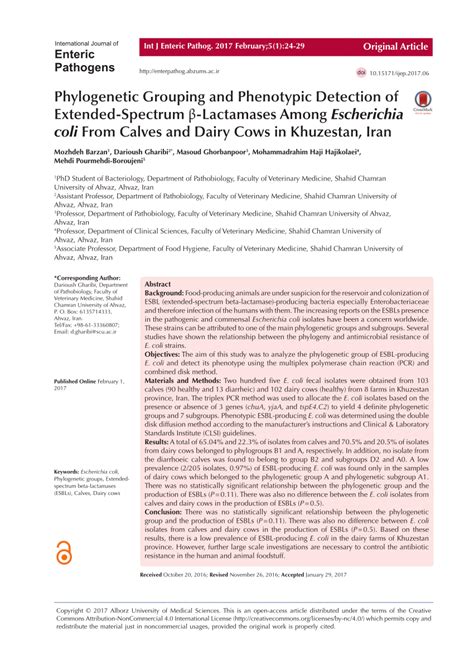 Pdf Phylogenetic Grouping And Phenotypic Detection Of Extended Spectrum β Lactamases Among