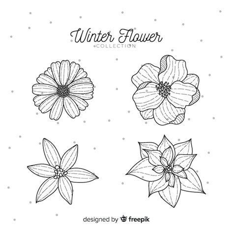 Colección De Flores De Invierno Dibujadas A Mano Vector Gratis