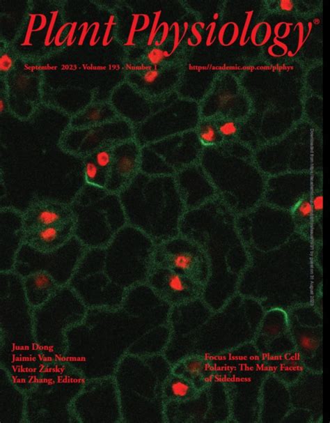 plant physiology focus issue webinar plant cell polarity sept 25 2023