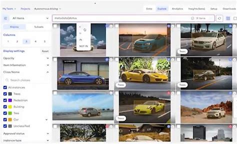 Clasificación De Imágenes Proyectos De Redes Neuronales Usando Yolo