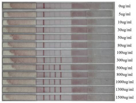 A Quantitative Detection Algorithm For Multi Test Line Lateral Flow Immunoassay Applied In