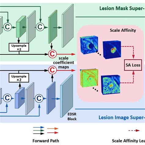 Overview Of Our Proposed Framework With 3d Unet As The Backbone The Download Scientific