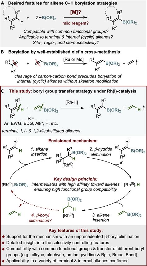 Transfer Ch Borylation Of Alkenes Under Rhi Catalysis Insight Into The Synthetic Capacity