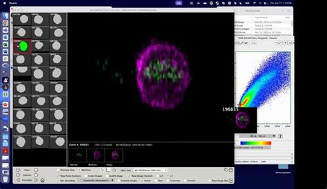 Bd Cellview Lens Plugin Apr 17 2025 952 Am 57m 46s John Quinn