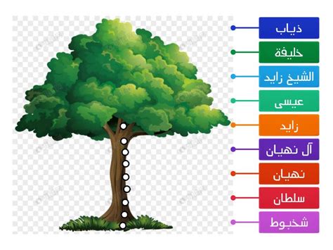 نشاط شجرة آل نهيان Labelled Diagram