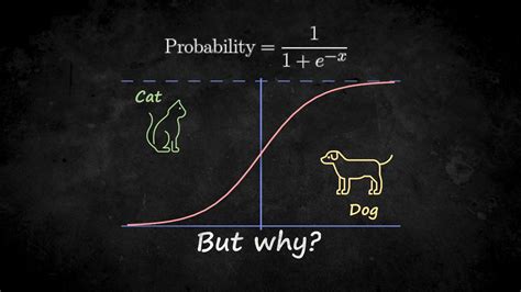 The Meaning Behind Logistic Classification From Physics Towards Data