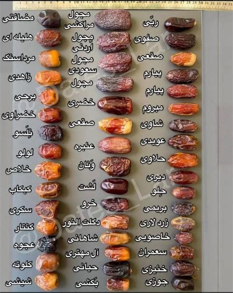 46 خرمای ایران را بشناسید خواص معجزه آسای 26 خرمای ایرانی عکس