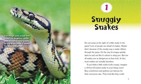 Boas And Pythons Rosen Classroom