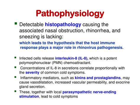 Ppt Common Cold Powerpoint Presentation Free Download Id5590499