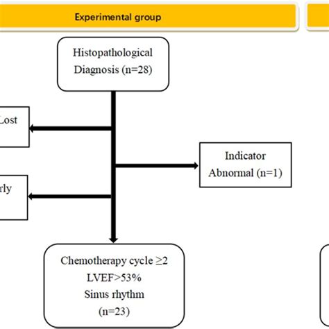 Flowchart Of This Cohort Lvef Left Ventricular Ejection Fraction Download Scientific Diagram