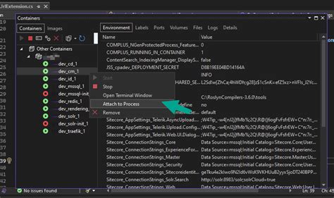 how to attach to process when using docker containers in sitecore