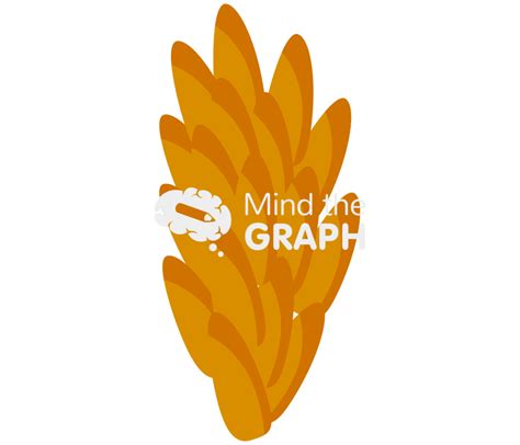 Free Gymnosperm Pollen Cone Icons Symbols Pictures And Images Mind The Graph