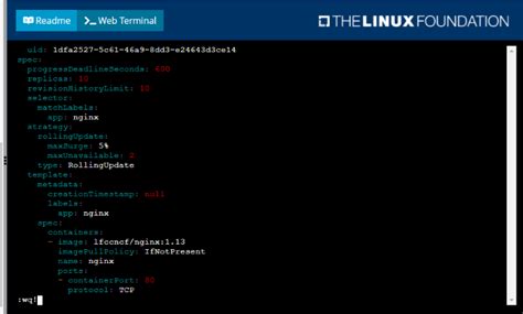 Linux Foundation CKAD Exam Practice Test Instant Access No Installation Required