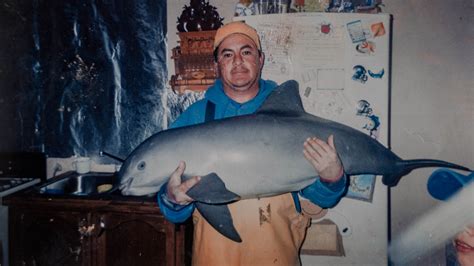Vaquitas Could Soon Be Extinct Mexico Will Largely Determine Their Fate The New York Times