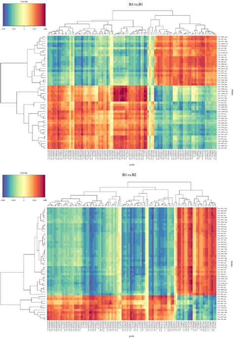 Integrative Proteomics And Metabolomics Data Analysis Exploring The