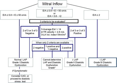 New Diastology Guidelines Evolution Validation And Impact On Clinical