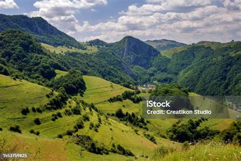 신선한 녹색 초원과 꽃이 만발한 알프스의 목가적 인 풍경과 배경에 나무로 덮인 산 아름다운 고산 여름 전망 잔디밭 구불구불한