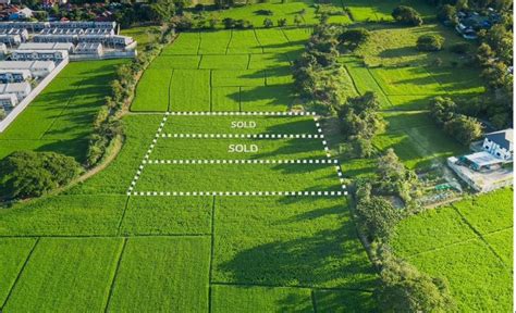 მიწის ნაკვეთები
