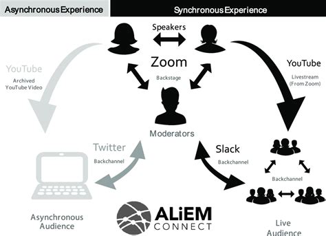 Schematic Of The Synchronous And Asynchronous Components Of The Aliem