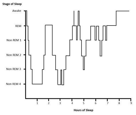 Hypnogram Sleep Stages 3 And 4 Sea Tac Noise