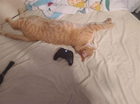 Long Boixbox One Controller For Scale Rcat