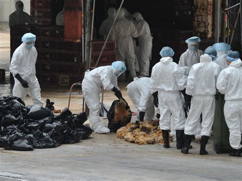 Hong Kong Ai Asian Agribiz