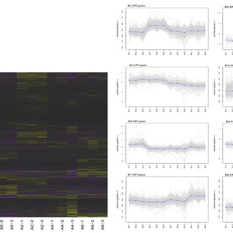 Visualization Of Gene Significance Gs Vs Module Membership Mm And Download Scientific
