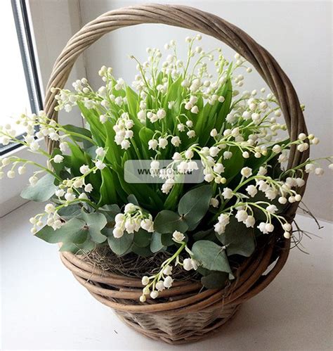Ландыши и незабудки — купить букет ландышей в интернет магазине Flork с ...