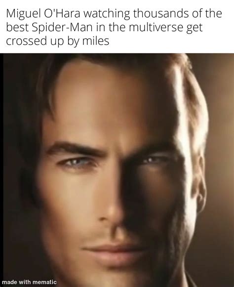 No Title R Spiderversedailymemes