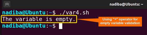 How To Check If A Variable Is Emptynull In Bash 4 Methods Linuxsimply