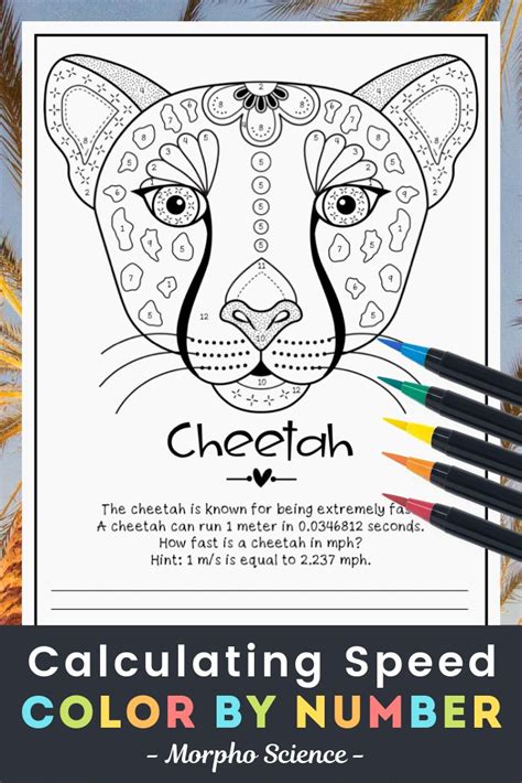 Calculating Speed Color By Number Speed Distance Time Calculating Speed Theme Task Cards