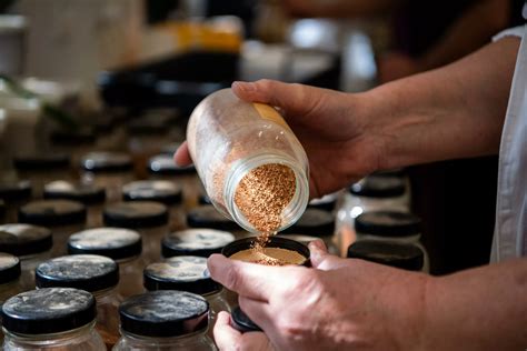 Csiro Launches Ansis A National Data And Information Tool For Soil