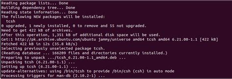 ≫ Instalar Y Usar Tcsh En Linux 1000demonios
