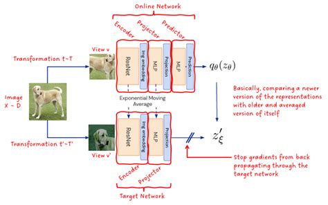 Byol The Alternative To Contrastive Self Supervised Learning Towards