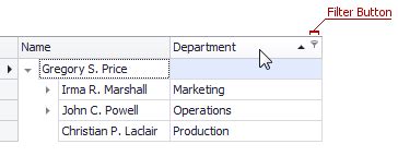 Filter Button WinForms Controls DevExpress Documentation