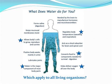 Ppt Water And Life Powerpoint Presentation Free Download Id2661938