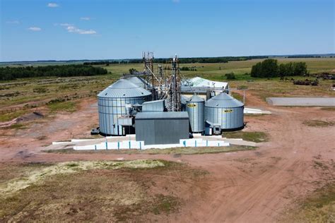 Цена казахстанской пшеницы подскочила на 10