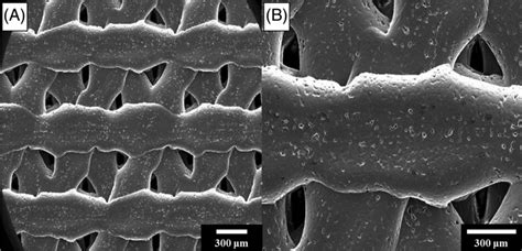 Morphology Of The Pcl Scaffold Was Shown A The Fabricated Pcl Line