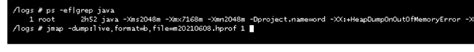 docker容器管理，oom 内存溢出，dump文件堆栈信息分析 docker中导出hprof csdn博客