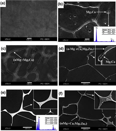 Sem Micrographs Of A Pure Mg B Mg 2ca C Mg 4ca D