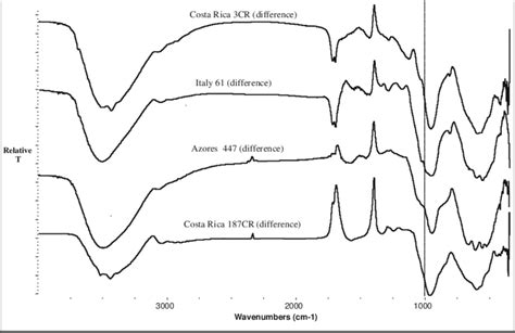 Difference FTIR Spectra Of Four Samples Download Scientific Diagram