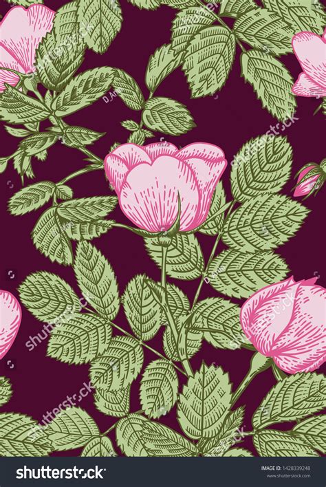 Wild Rose Seamless Pattern Cassis Background Stock Vector Royalty Free 1428339248 Shutterstock